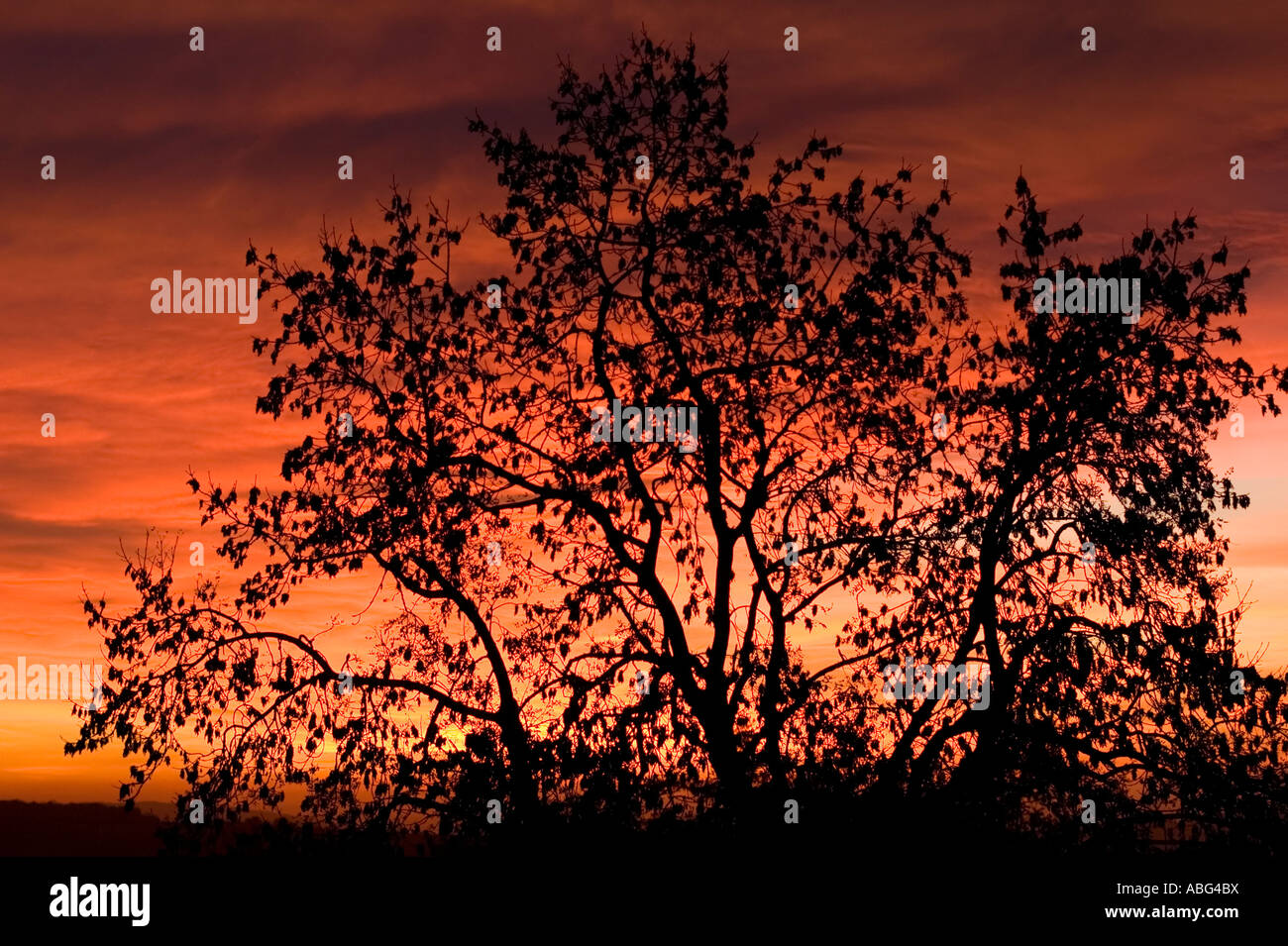 beautiful British sunset Stock Photo - Alamy