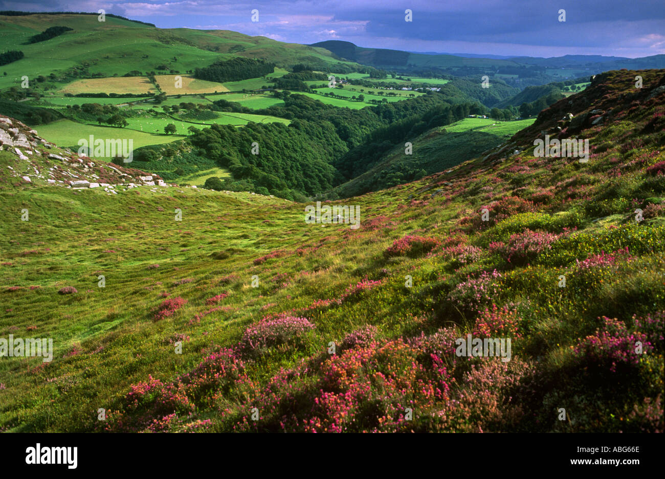 Rheidol hi-res stock photography and images - Alamy