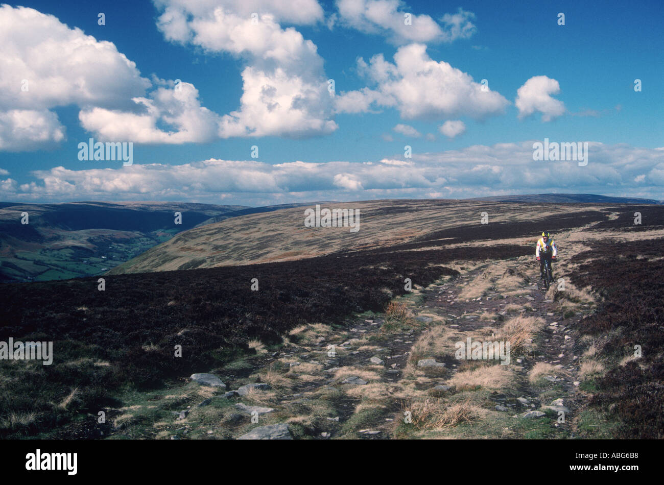 Cyclist on the Offas Dyke path Hatterall Hill Black Mountains South ...