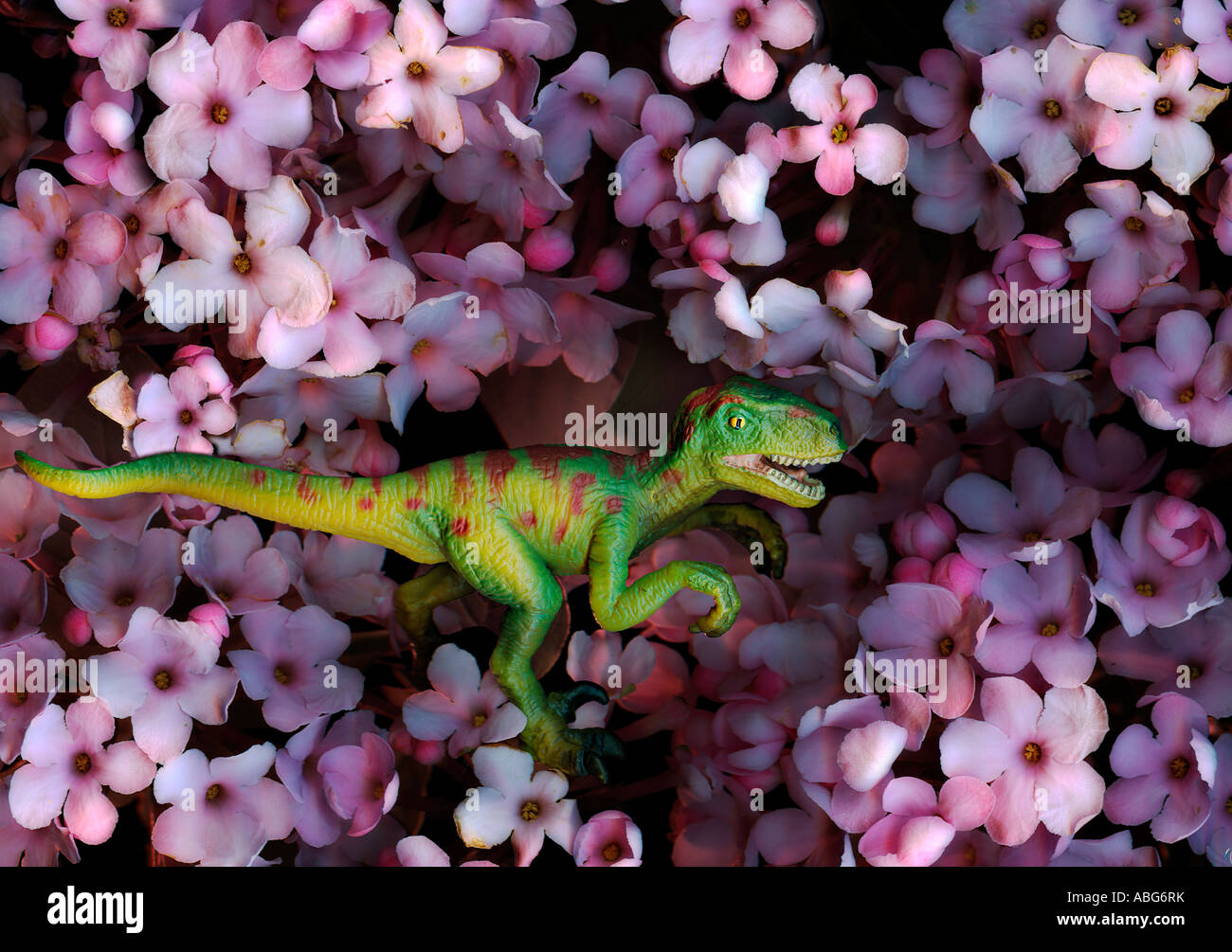 Velociraptor jurassic park hi-res stock photography and images - Alamy