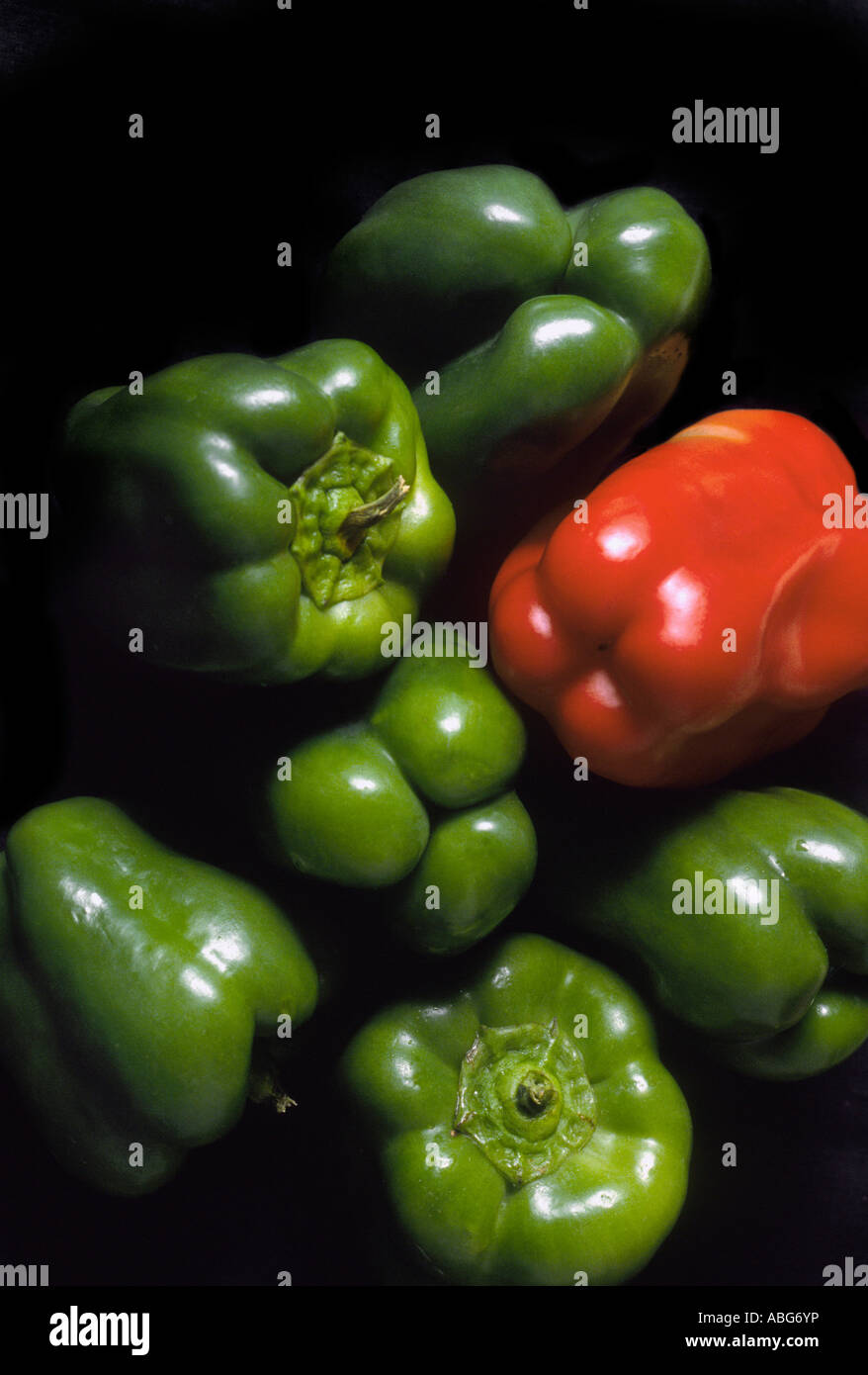Close up studio photo of Bell Peppers Stock Photo - Alamy