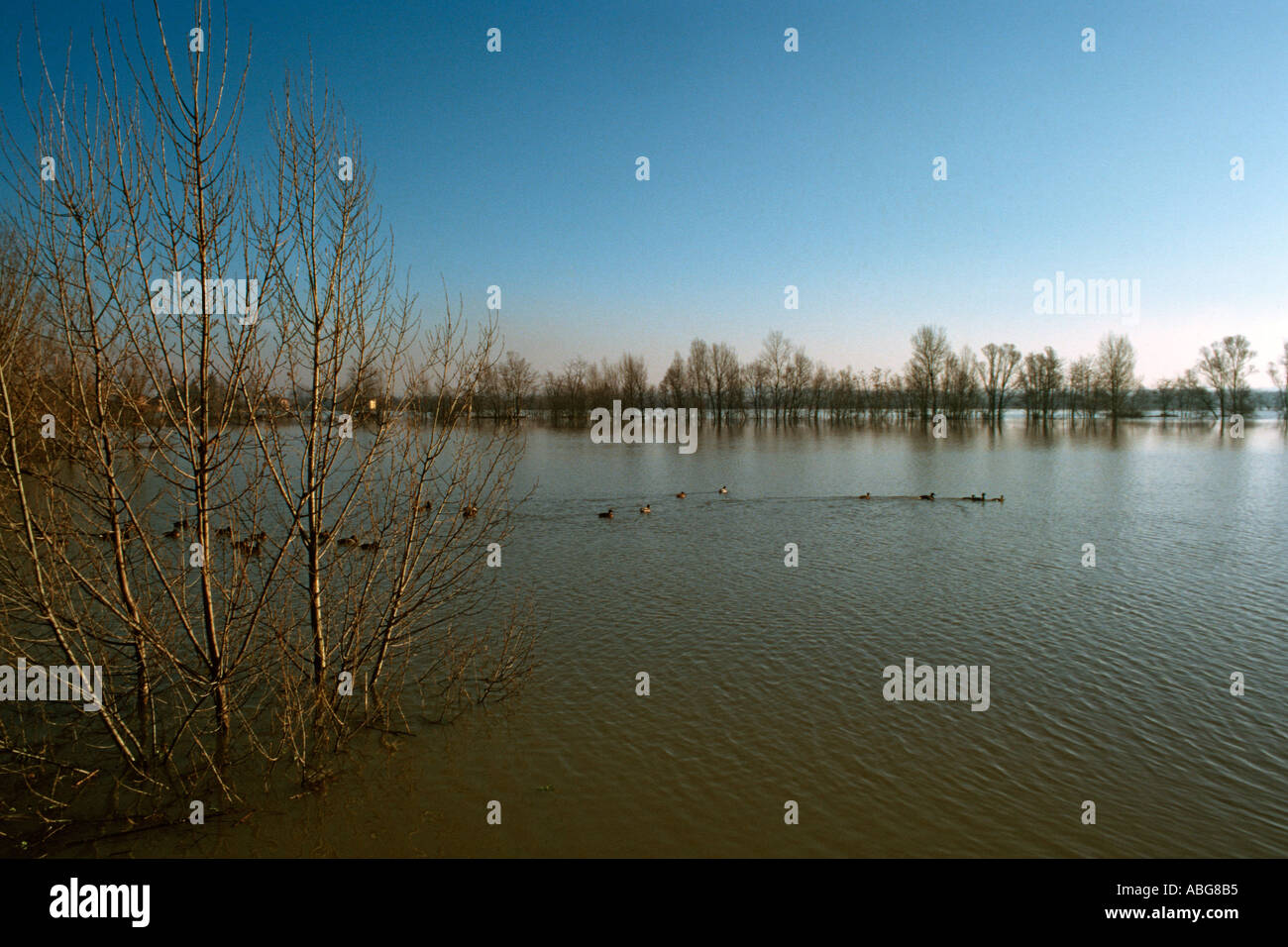 Flooded landscape in France Stock Photo - Alamy
