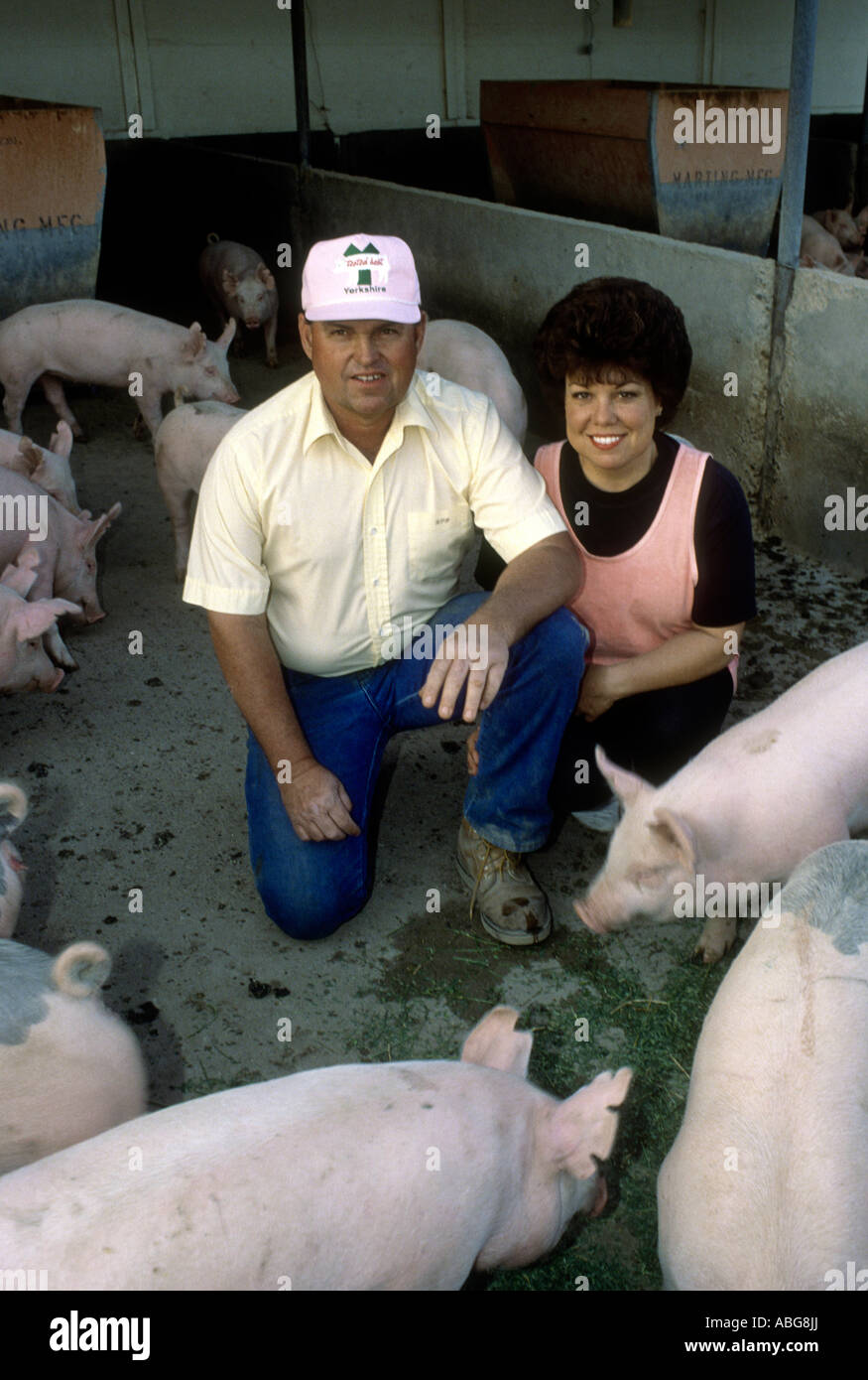 Team of hogs hi-res stock photography and images - Alamy