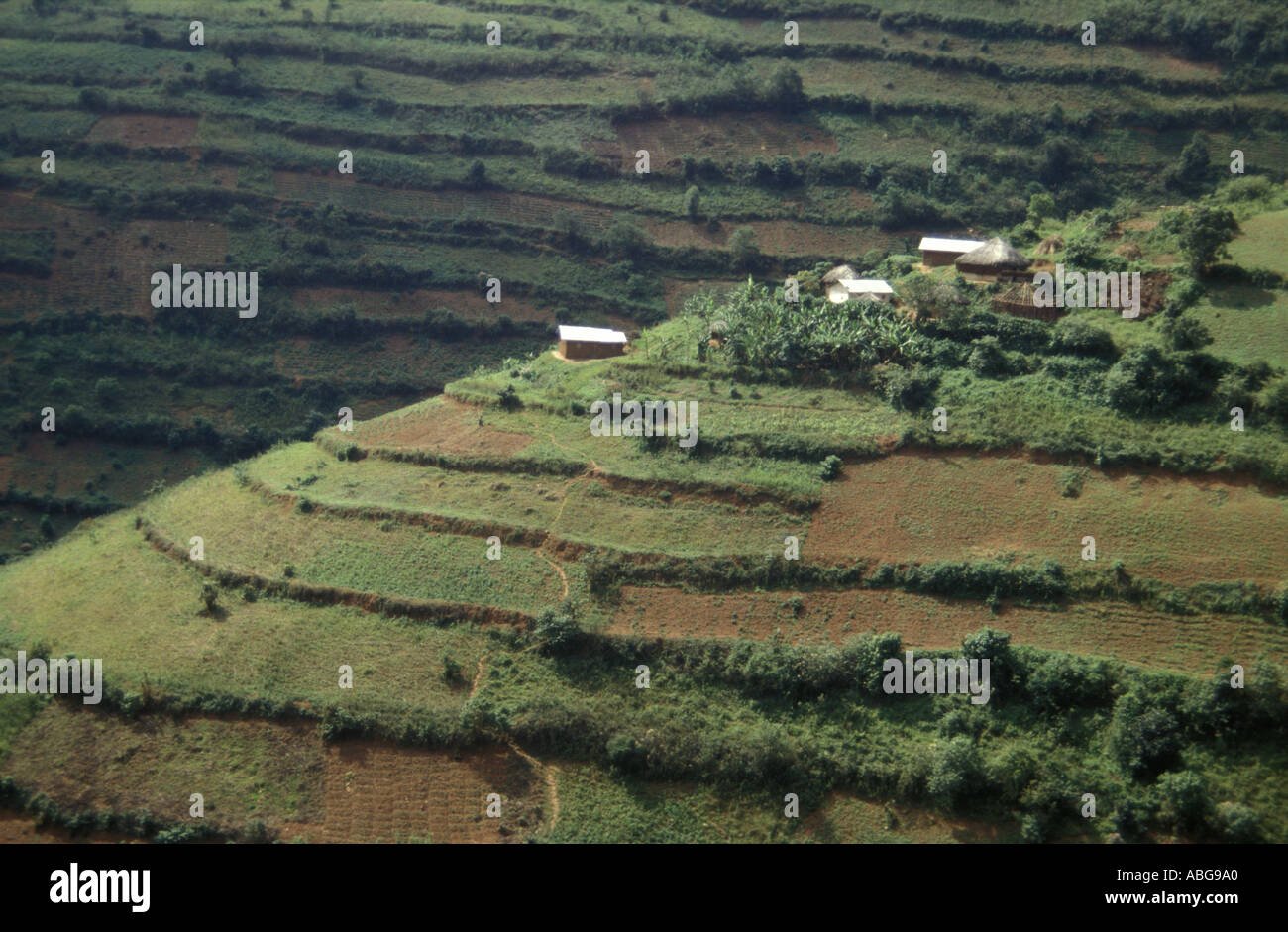 Terracing for small scale farming in hilly country near Kabale in south ...