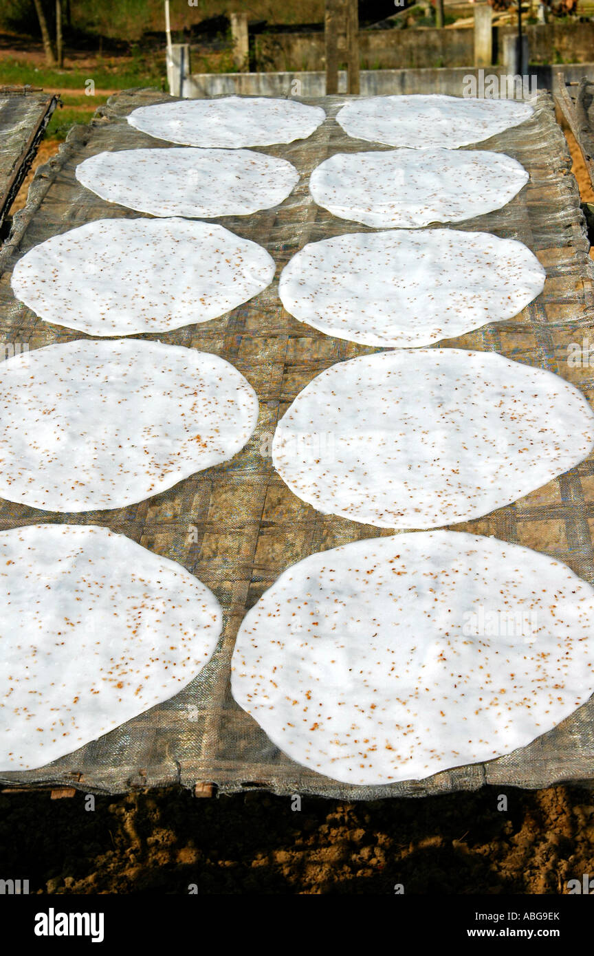 Drying rice paper, Quang Nam Province, Vietnam Stock Photo - Alamy