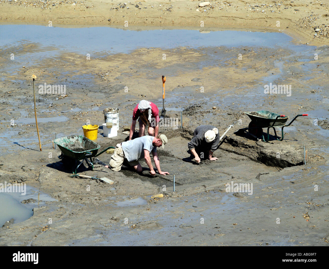 BEACH FORESHORE WITH EXCAVATION ARCHAEOLOGICAL DIG REMNANTS OF ANIMAL ...