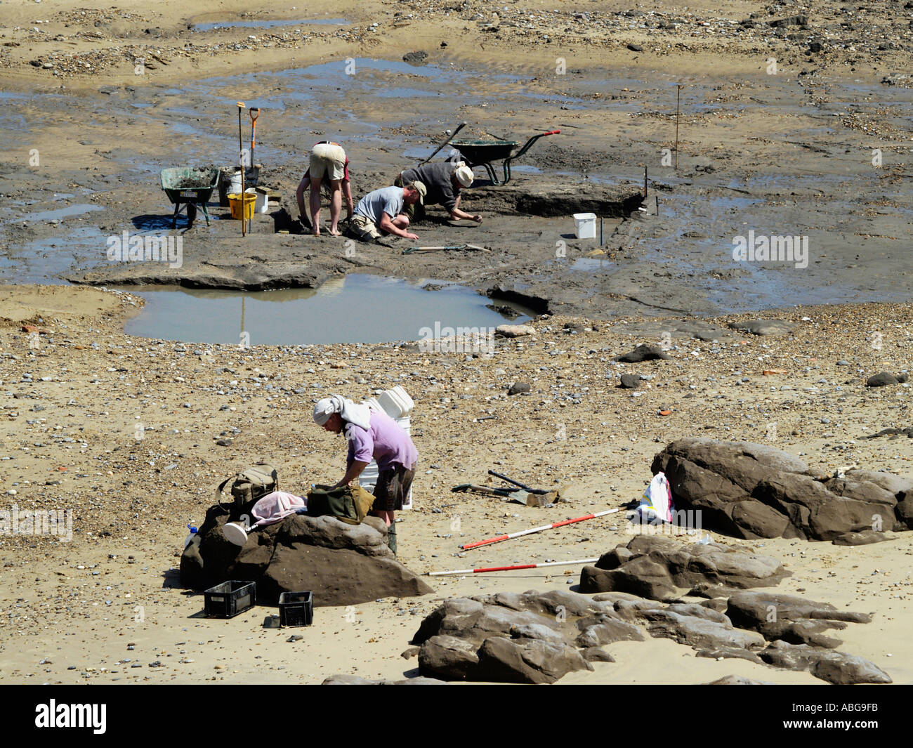 BEACH FORESHORE WITH EXCAVATION ARCHAEOLOGICAL DIG REMNANTS OF ANIMAL ...