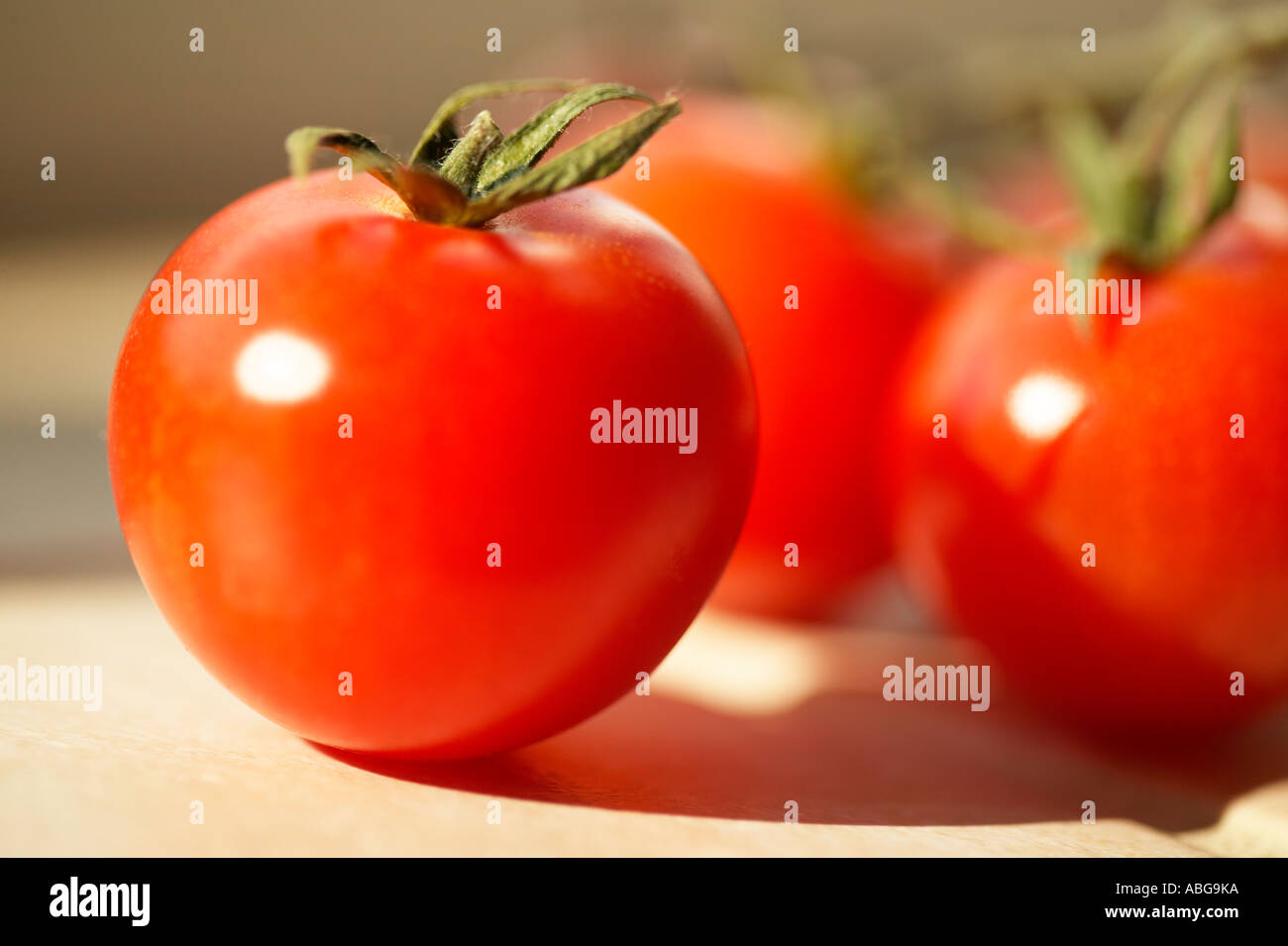 tomatoes ripening in the sun Stock Photo - Alamy