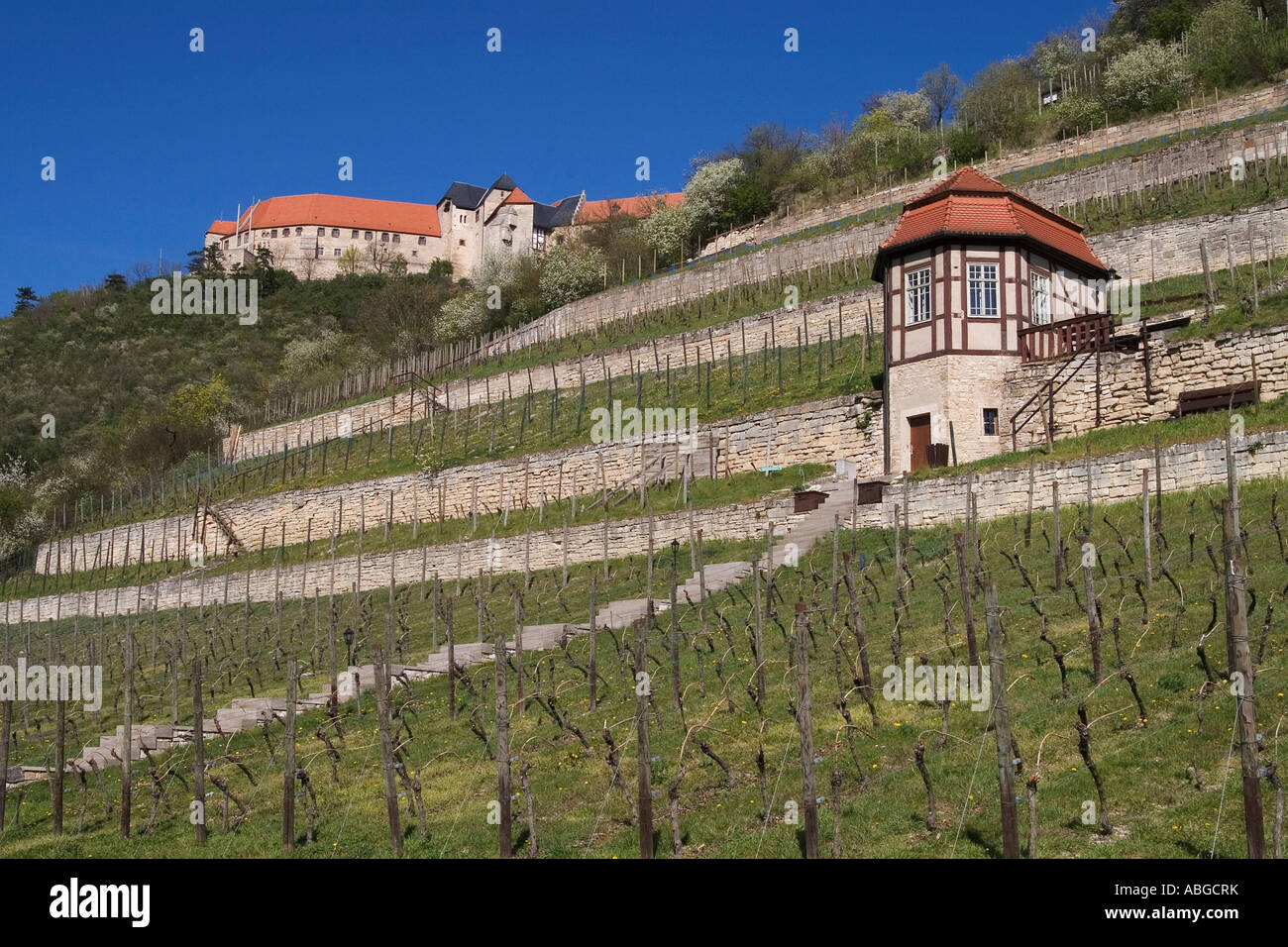 Baronial vineyard with historical vineyard house, with Neuenburg ...