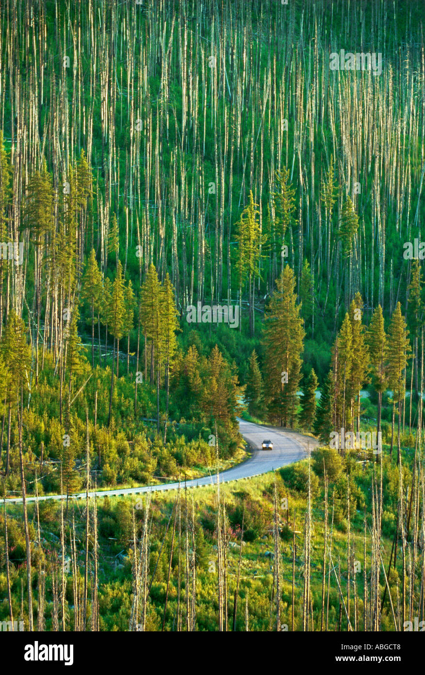 North cascades scenic highway area hi-res stock photography and images ...