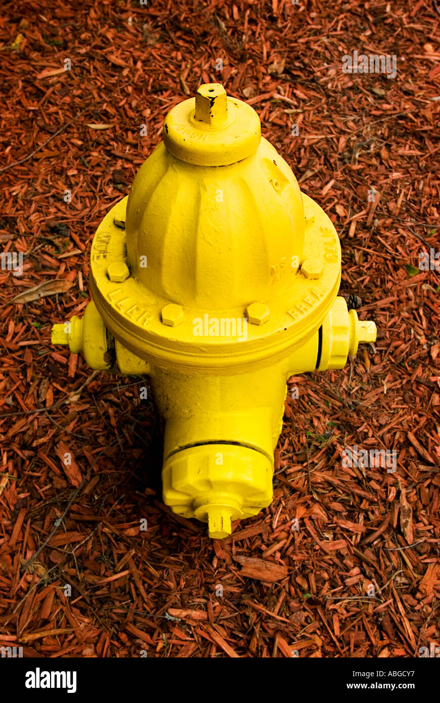 Yellow fire hydrant Stock Photo - Alamy