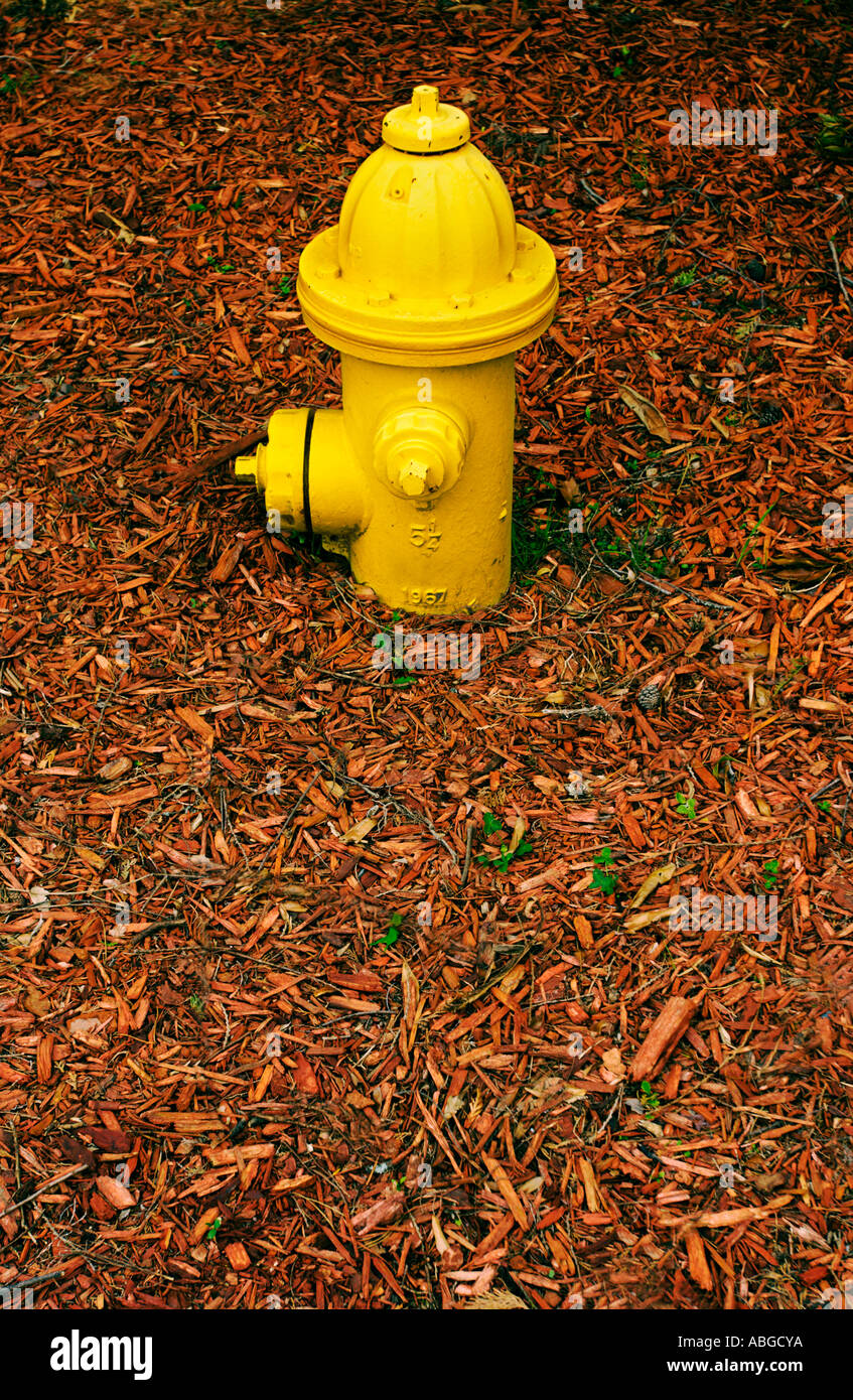 Yellow fire hydrant Stock Photo - Alamy