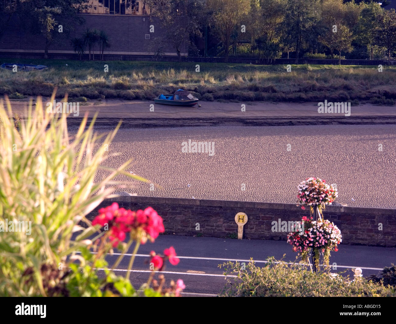 River Taw at low tide Barnstaple North Devon England UK Stock Photo - Alamy