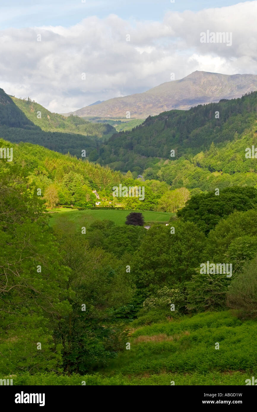 Welsh valley filled with trees Stock Photo - Alamy