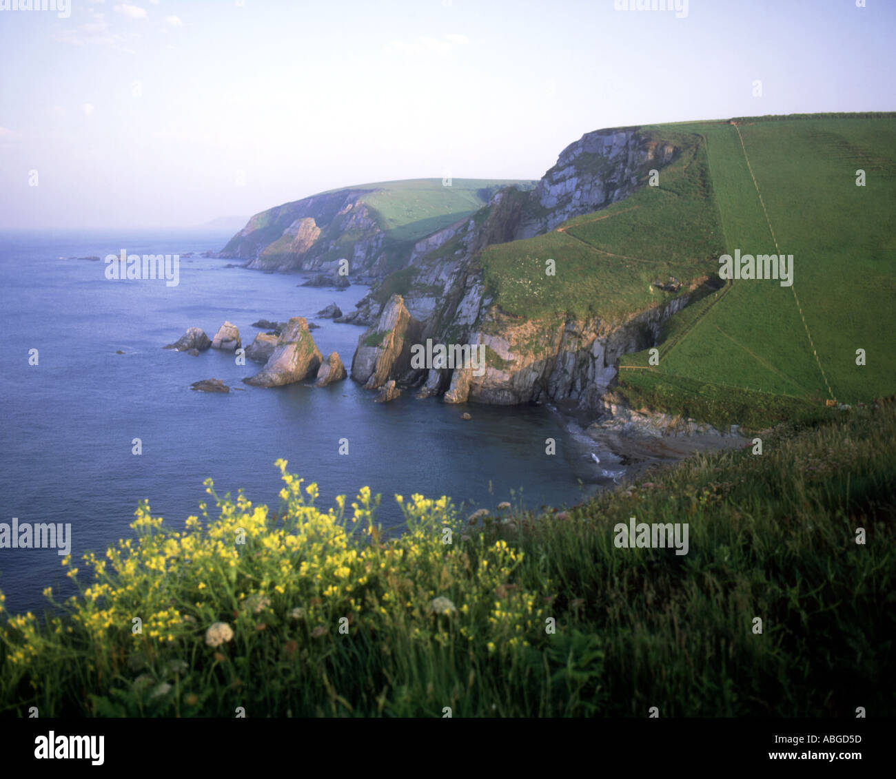 Devon south coast countryside hi-res stock photography and images - Alamy