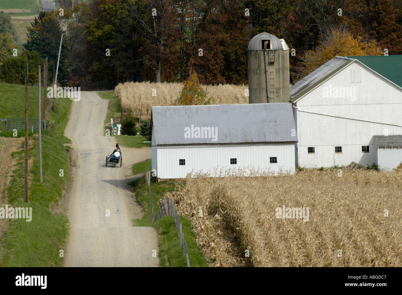 Amish of the American Heartland Ohio Indiana Pennsylvania Families at ...