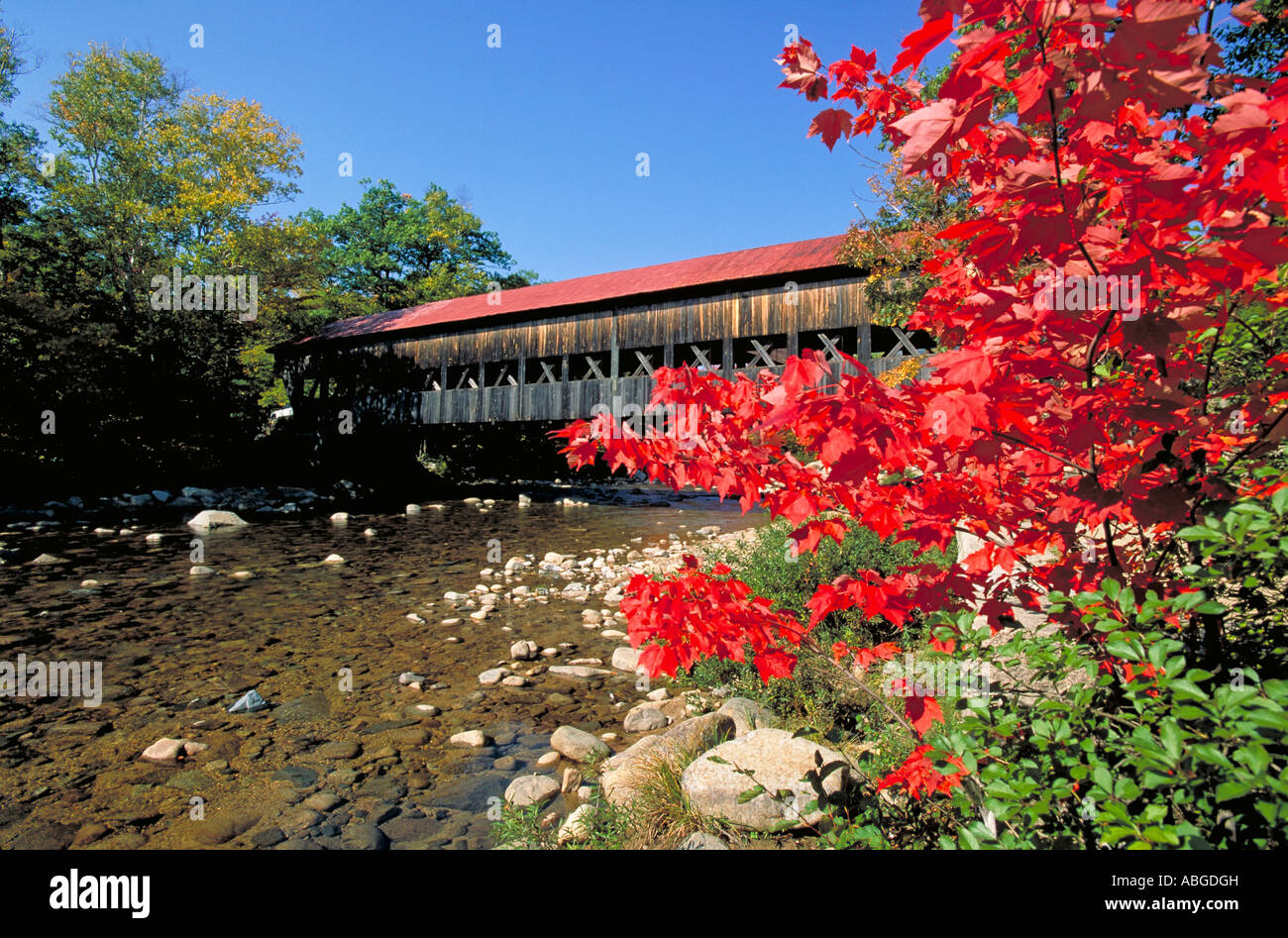 Elk281 1615 New Hampshire White Mountains Kancamagus Hwy Albany covered ...