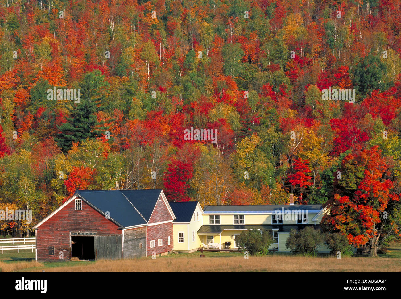 Elk281 1827 New Hampshire northern region landscape along Highway 2 ...