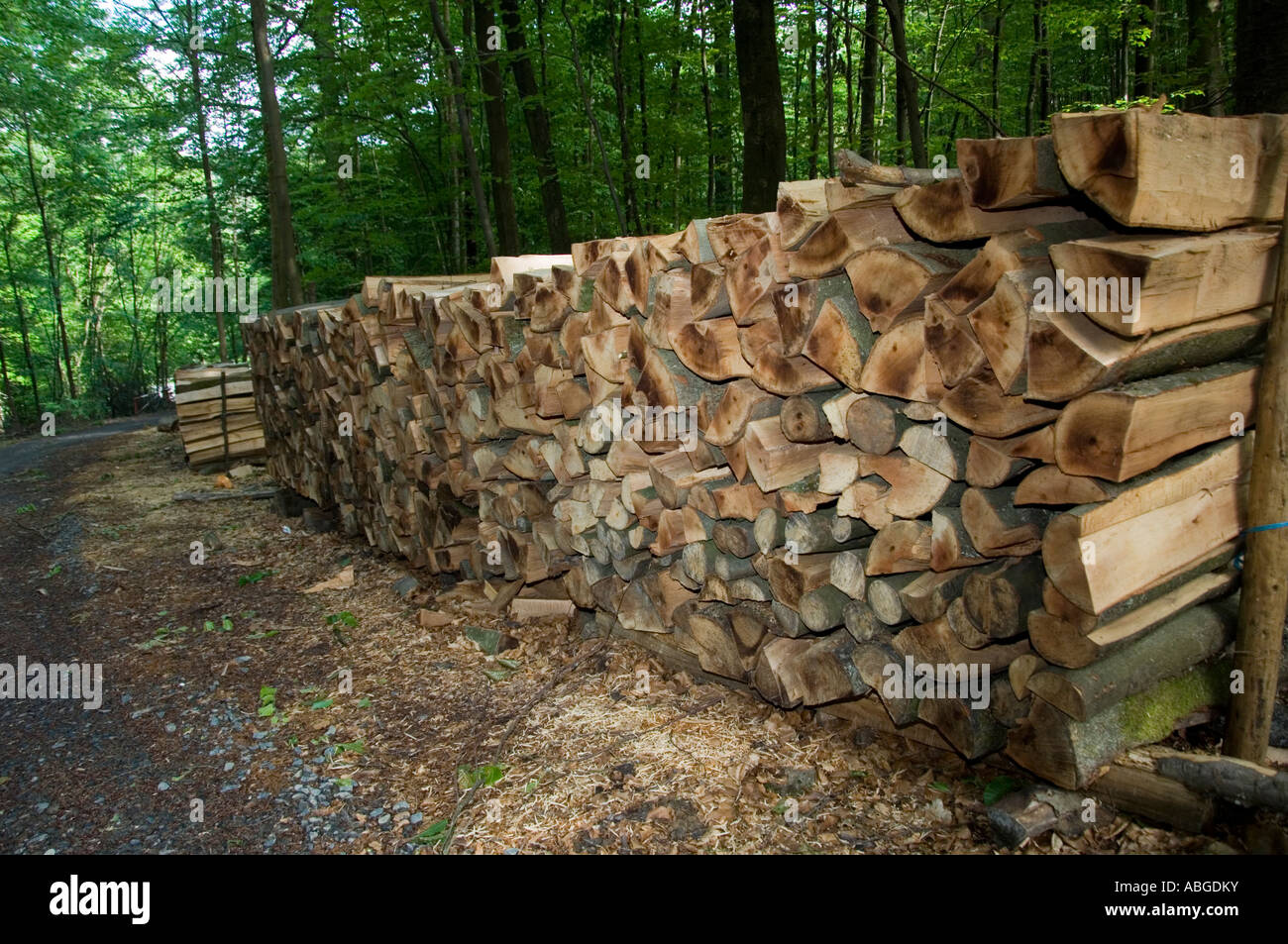 Piled logs of wood Stock Photo - Alamy