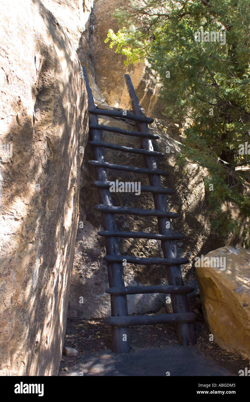 Indian ladder cliff dwelling Mesa Verde Colorado Stock Photo - Alamy