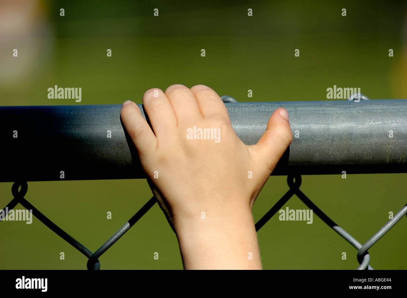 Human Hand on a fence Stock Photo - Alamy
