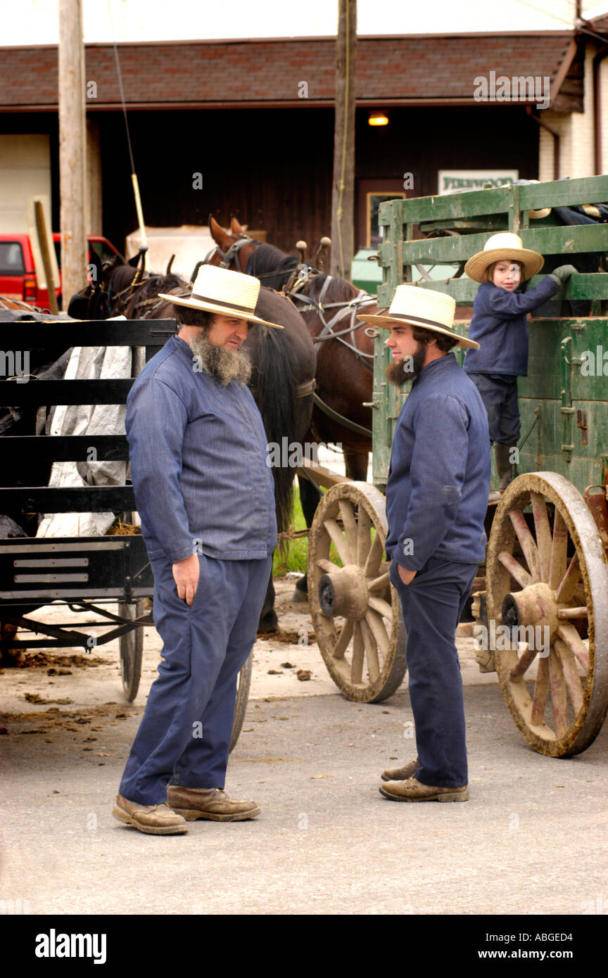 Amish children farming hi-res stock photography and images - Alamy