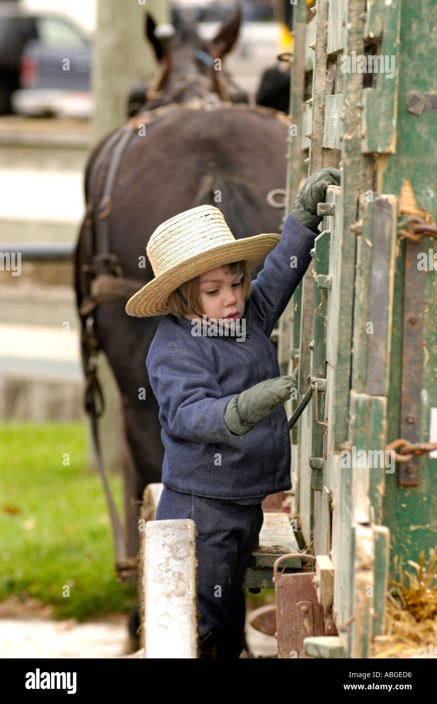 Amish children farming hi-res stock photography and images - Alamy