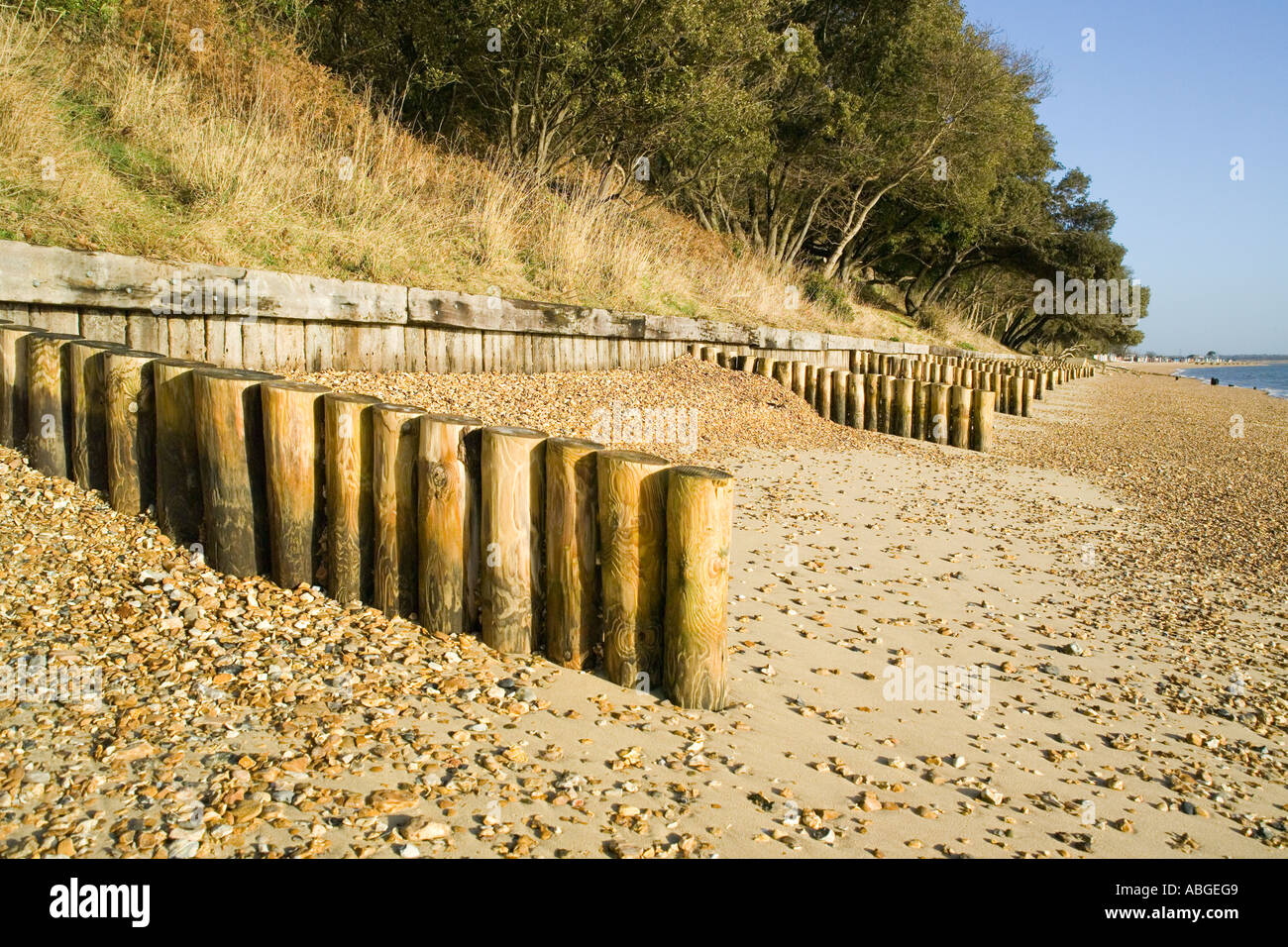 Groynes Groins Protecting the Beach at Calshot in Hampshire UK Stock ...