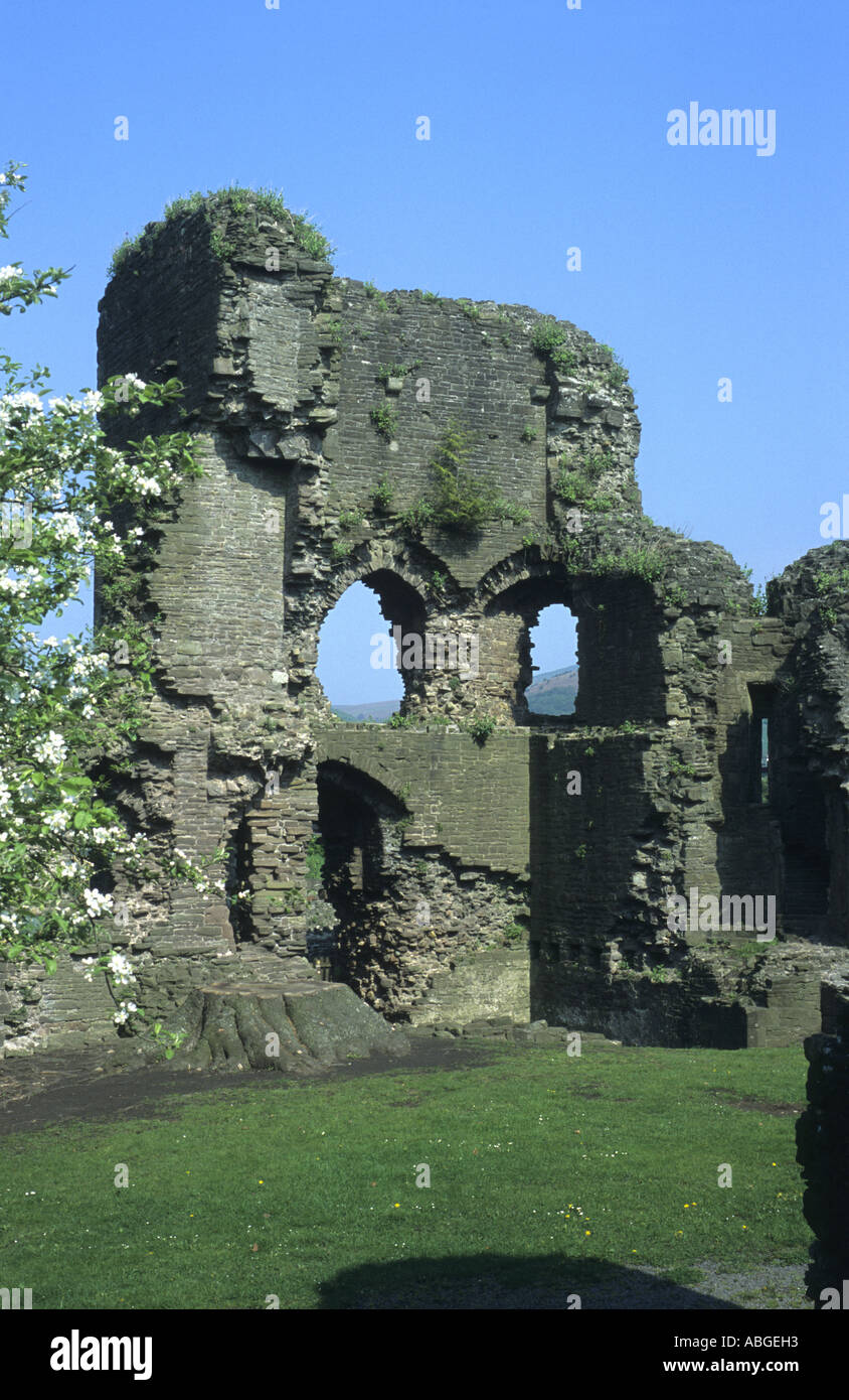 Monmouth castle ruins hi-res stock photography and images - Alamy