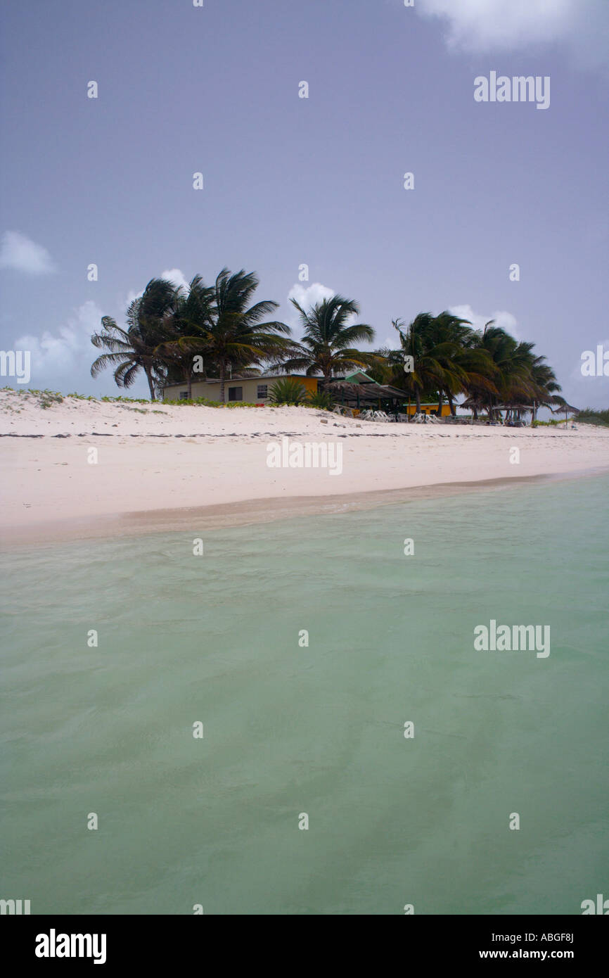 Cow Wreck Beach on Anegada Stock Photo - Alamy