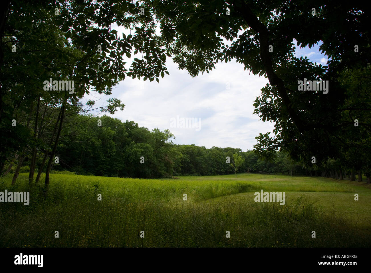 Area of grass hi-res stock photography and images - Alamy