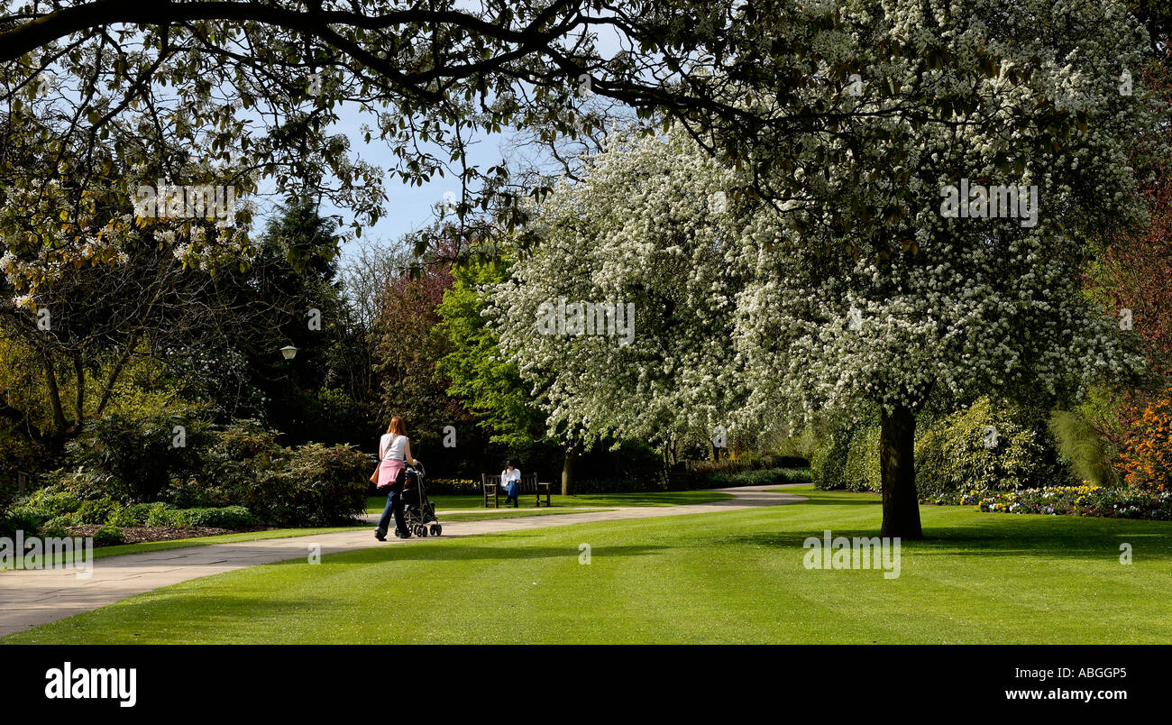 Well welcoming maintained hi-res stock photography and images - Alamy