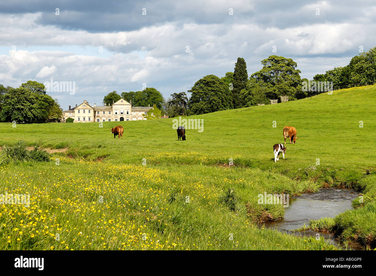 Quintessentially English rural landscape Stock Photo - Alamy
