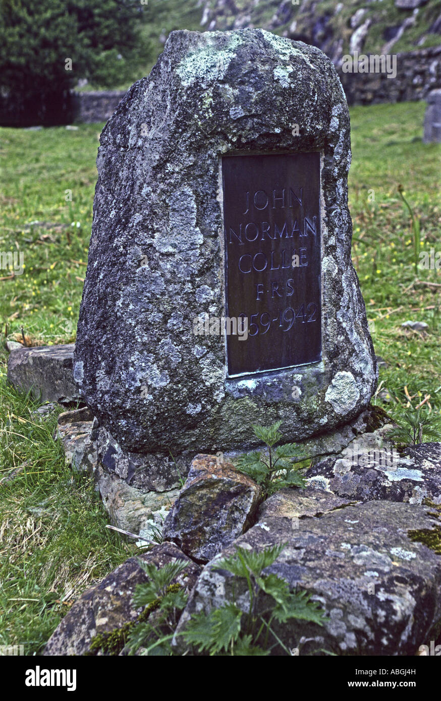 John norman collie High Resolution Stock Photography and Images - Alamy