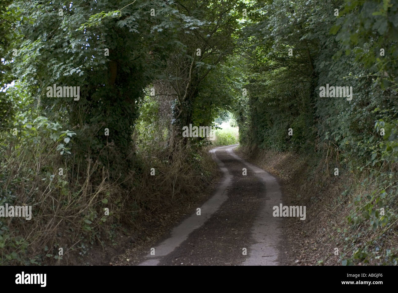 A narrow country lane in England UK Stock Photo - Alamy