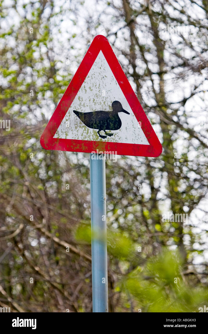 Caution duck crossing road sign Stock Photo - Alamy