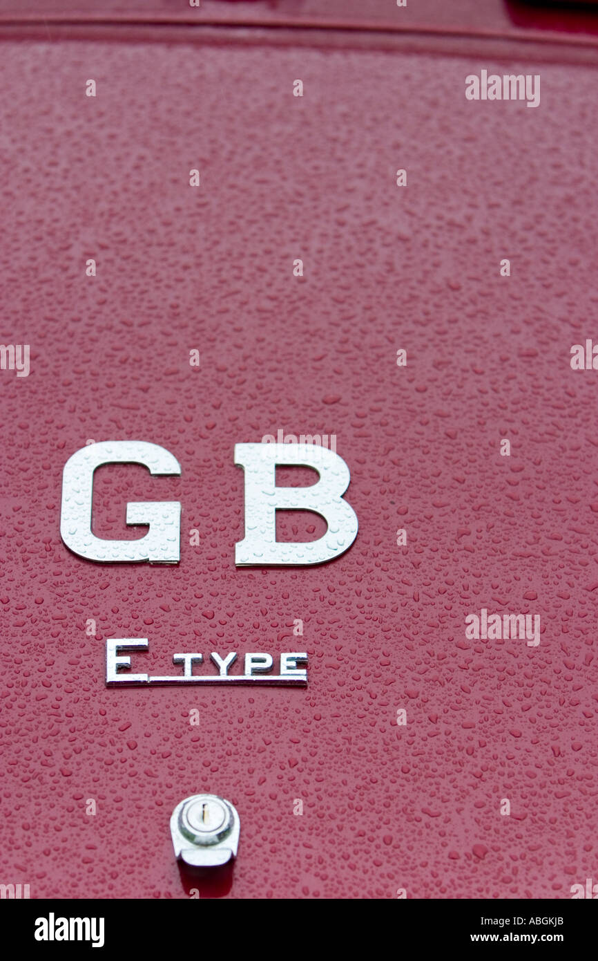 Jaguar E Type boot detail Stock Photo - Alamy