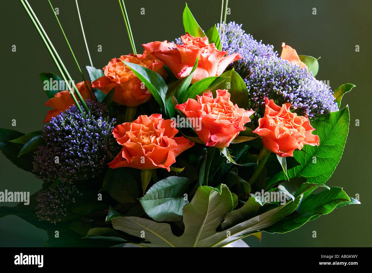 Milva rose bouquet Stock Photo - Alamy