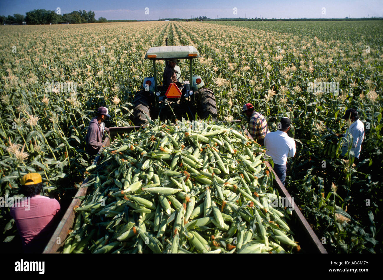 San joaquin california farmer hi-res stock photography and images - Alamy