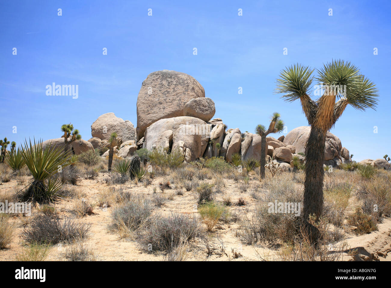 Geology Tour Road, Joshua Tree National Park, California, USA Stock ...