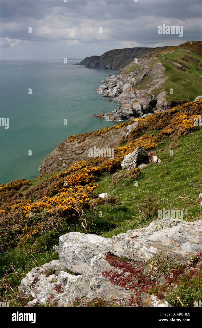 South Devon Coastline Stock Photo - Alamy