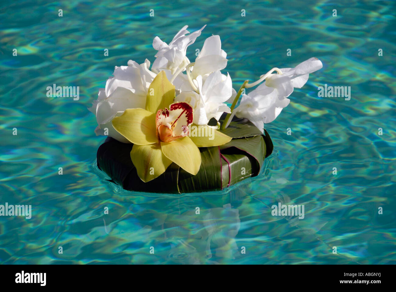 Float flowers hi-res stock photography and images - Alamy