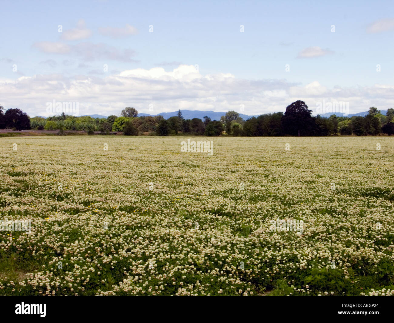 Fertilizer farm cover crop hi-res stock photography and images - Alamy