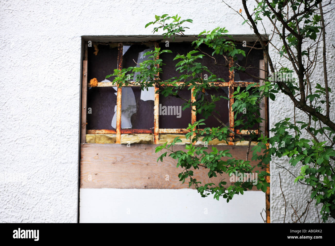Rusted, broken and derelict window with tree & white wall Stock Photo ...