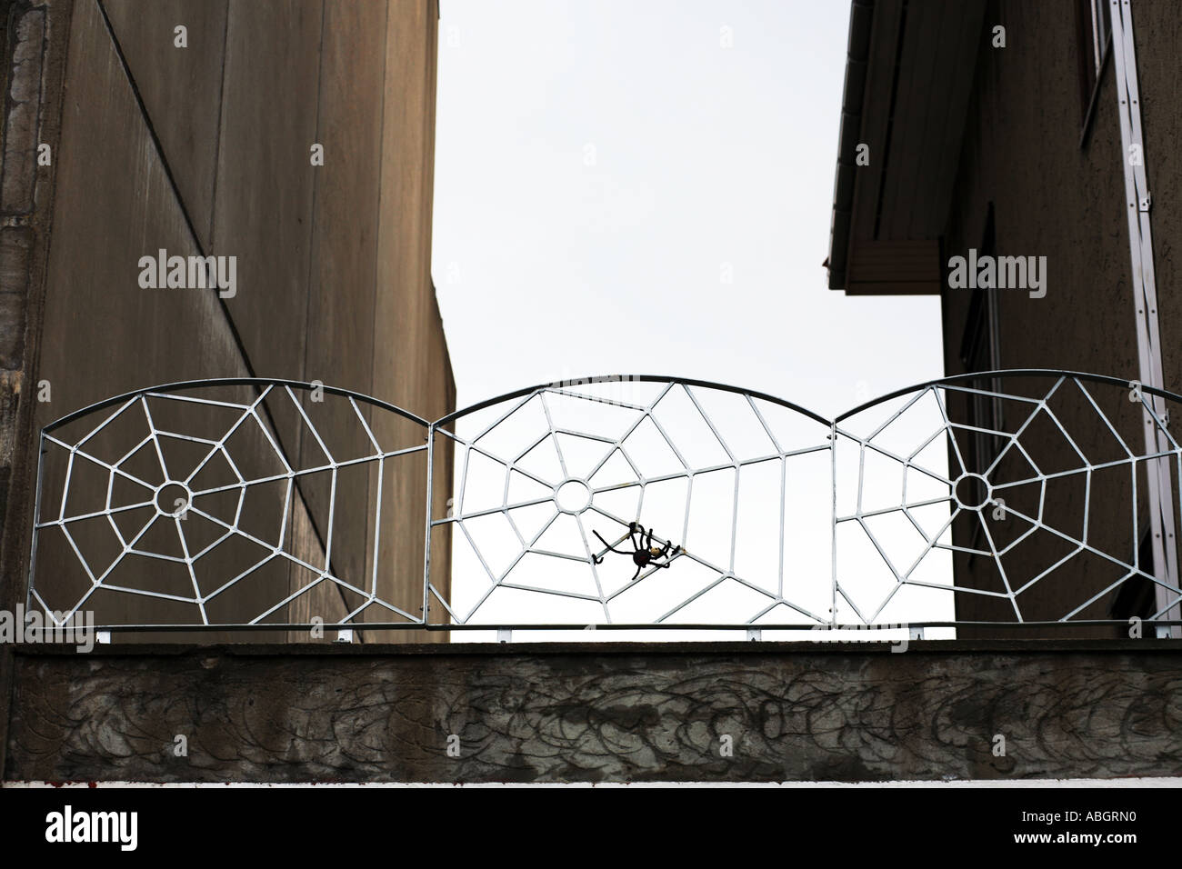 Fake spiders hi-res stock photography and images - Alamy