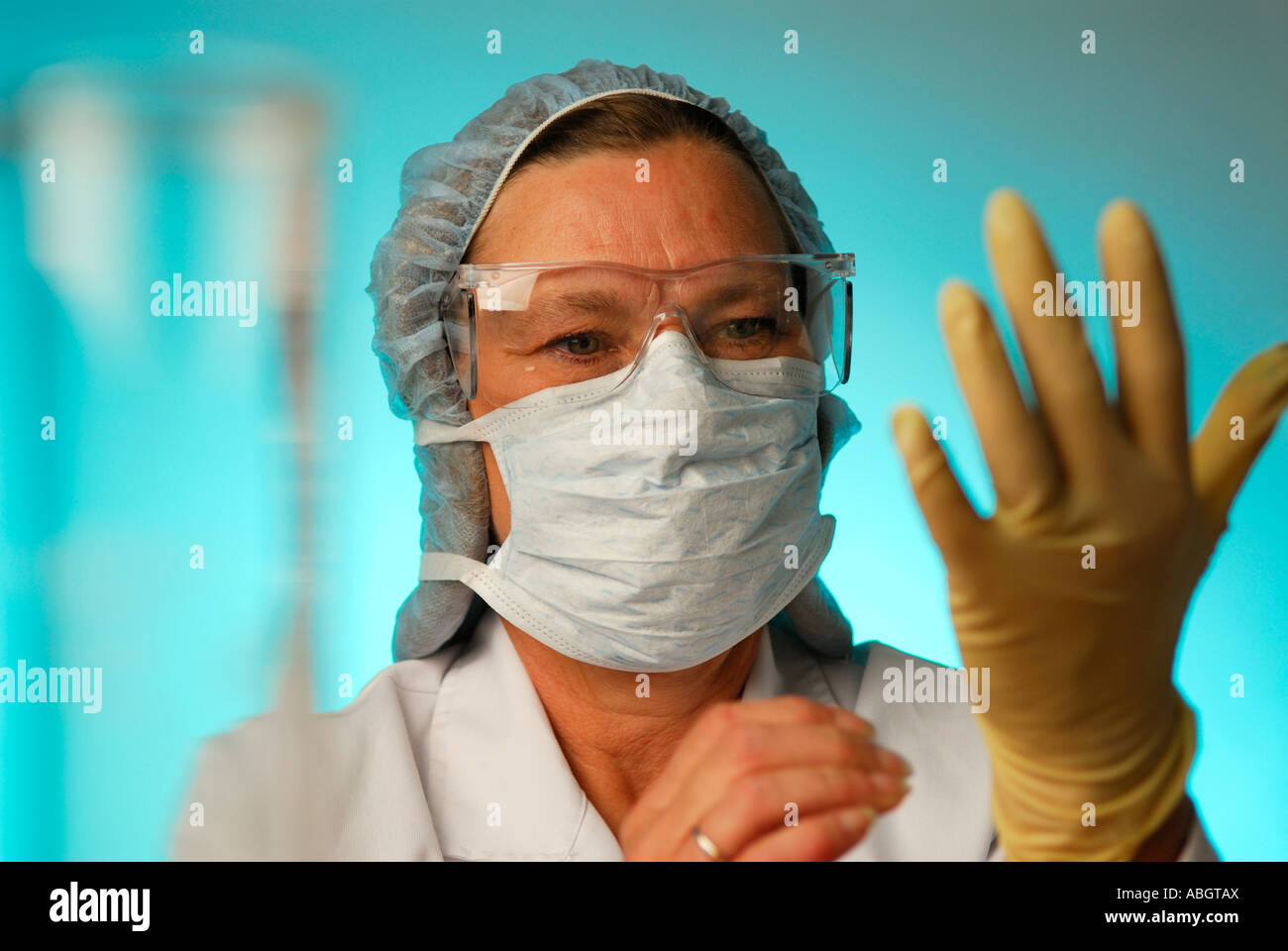 Female laboratory technician pulling on disposable protective gloves ...