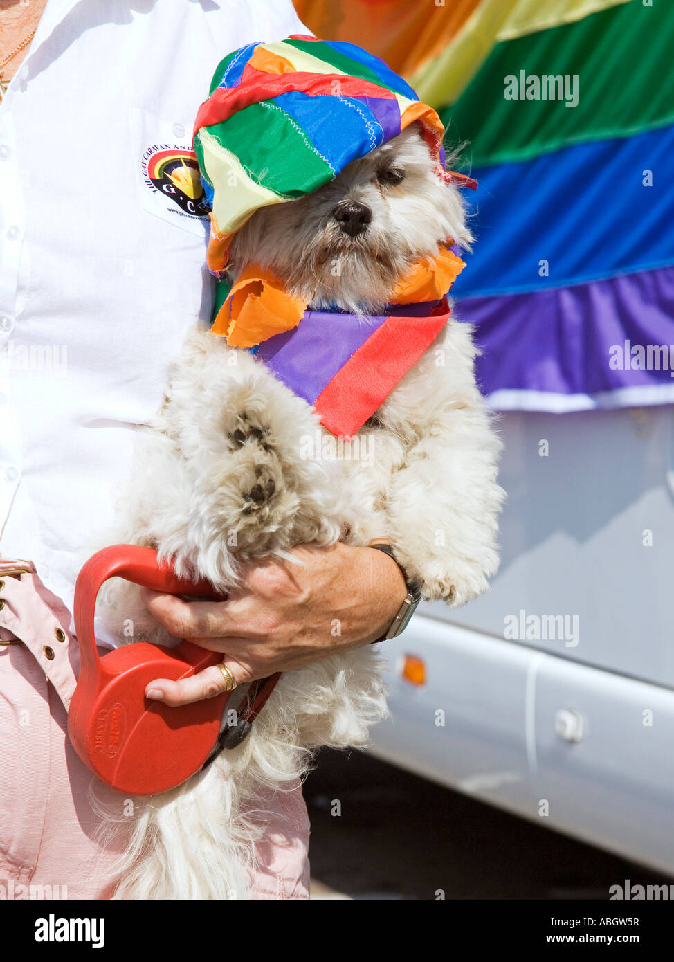 Pride Parade, Brighton, UK 2006 with Carry On film theme even the dogs ...