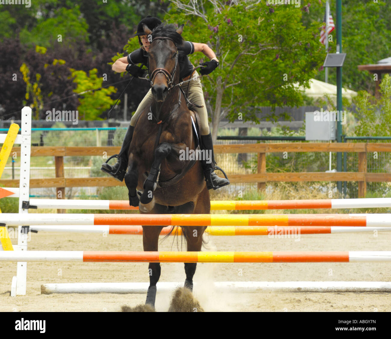Endurance horse race hi-res stock photography and images - Alamy
