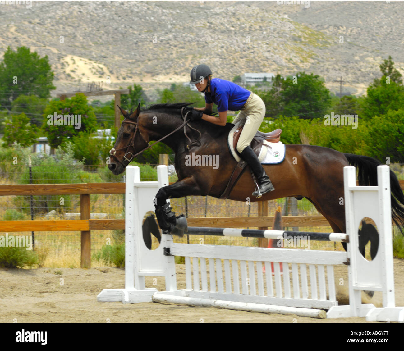Horse jumper hi-res stock photography and images - Alamy