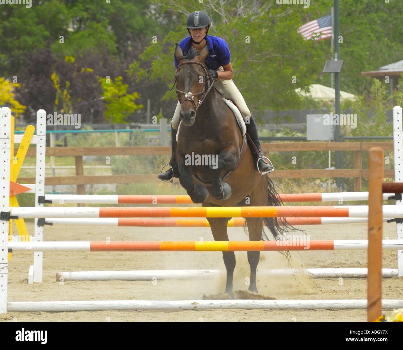 Horse jumper hi-res stock photography and images - Alamy